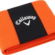 Callaway Swing-Easy Arm Position Trainer | Golf Swing Systems