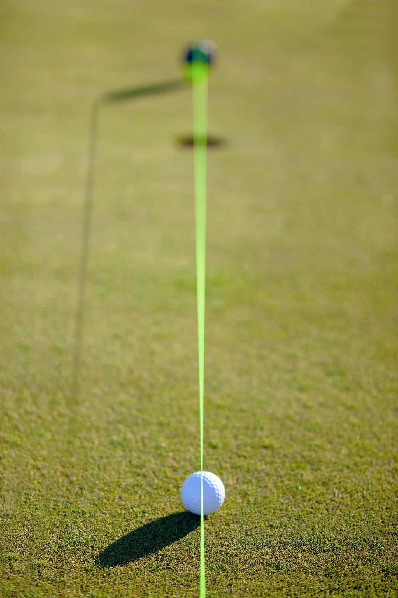 Golf Practice Alignment Ball | Golf Swing Systems